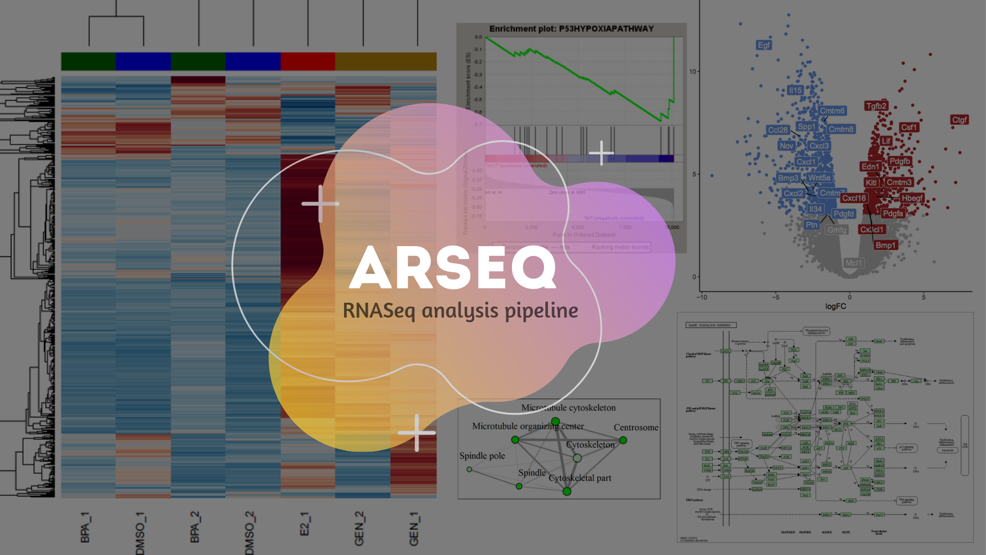 RNASeq analysis in 5 lines of code (ARSeq)